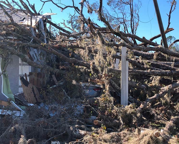 McCullough Tree Service | FL | Read Reviews + Get a Bid | BuildZoom