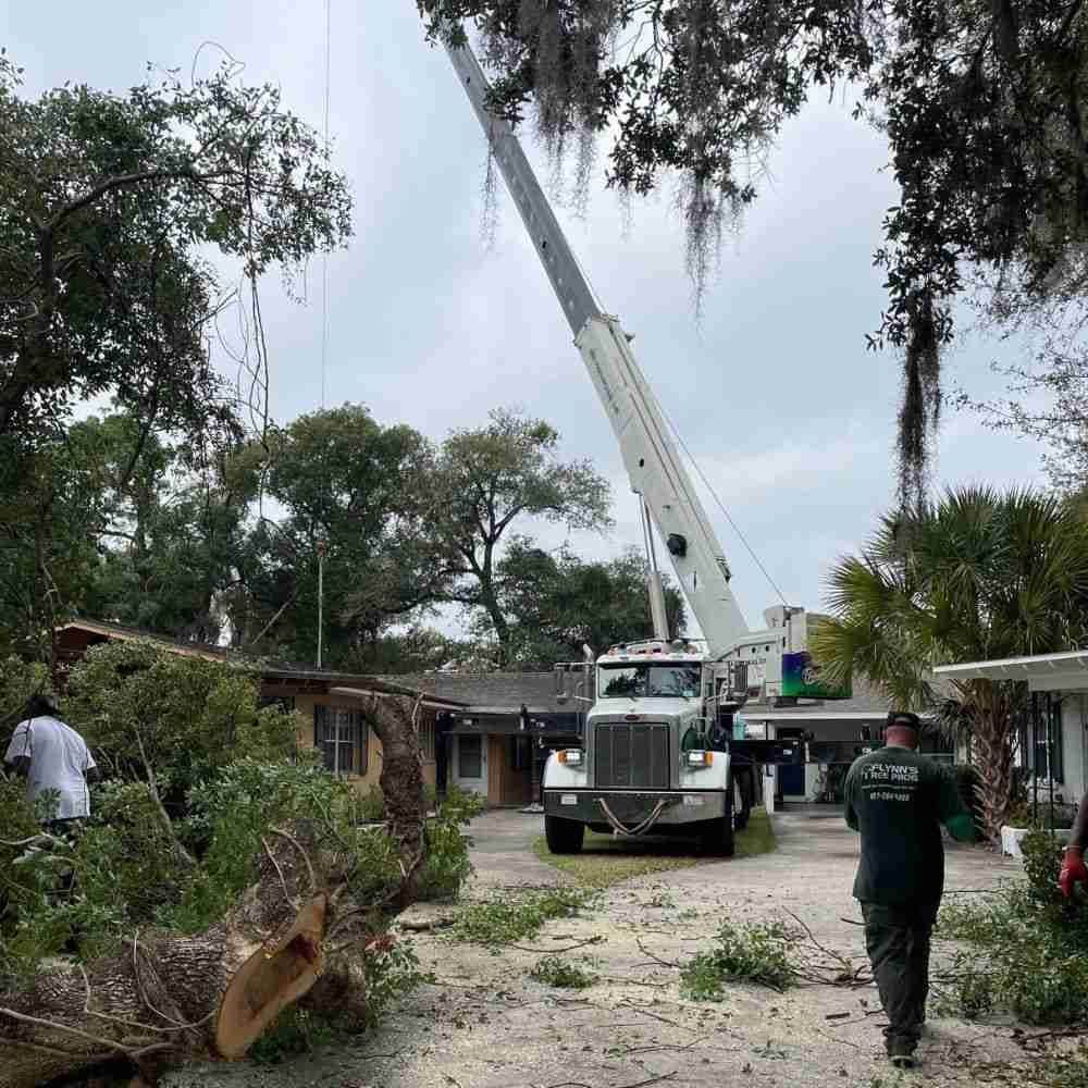 Flynn's Tree Pros | Orlando FL | Read Reviews + Get a Bid | BuildZoom