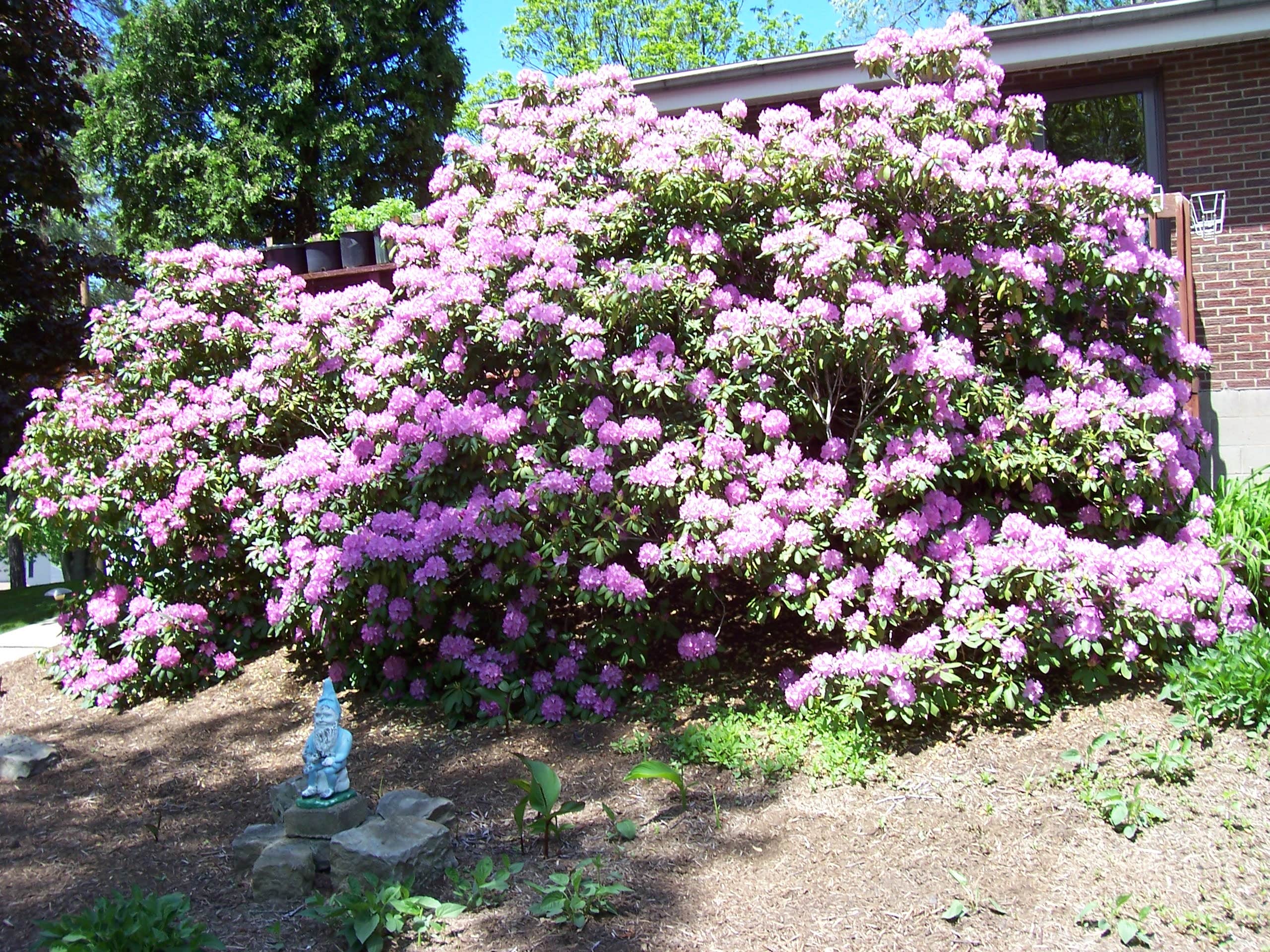 Asturi Landscape Contracting | Glenshaw PA | Get a Bid | BuildZoom