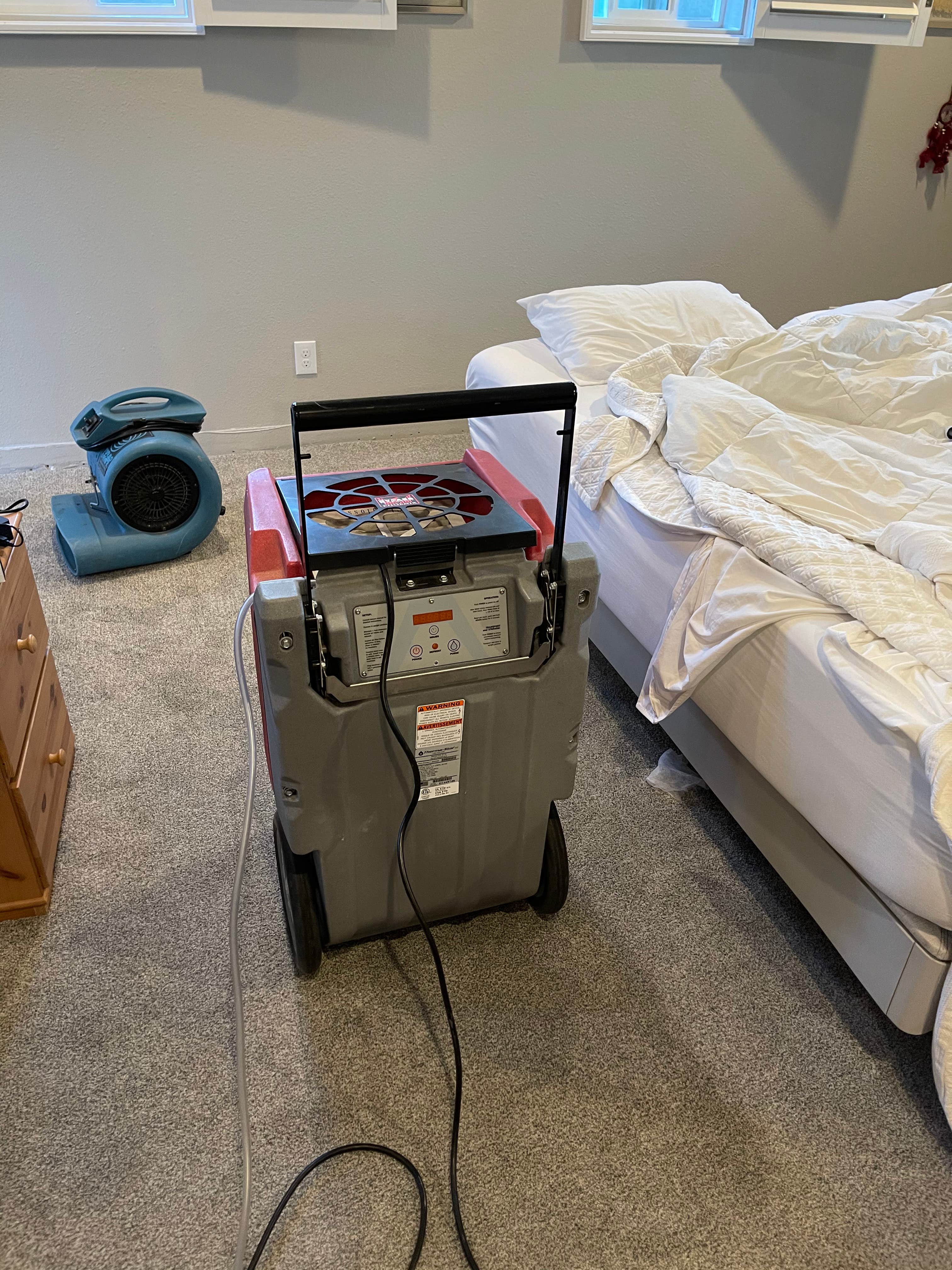 MOMENTUM CARPET & FLOOR CARE | Phoenix AZ | Get a Bid | BuildZoom