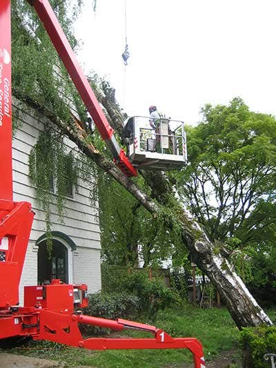 General Tree Service | Beaverton | Read Reviews + Get a Bid | BuildZoom