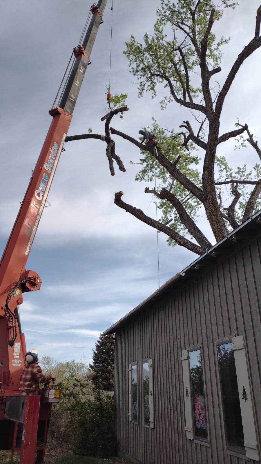 307 Tree Service & Landscaping | Basin WY | Get a Bid | BuildZoom