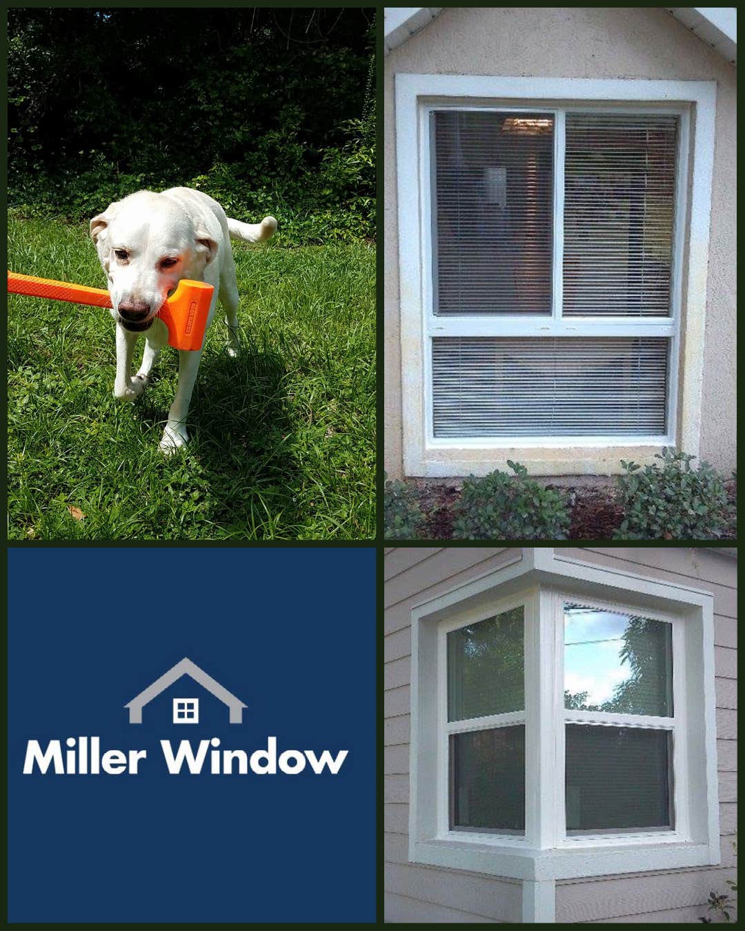 Miller Window | Orange City FL | Read Reviews + Get a Bid | BuildZoom