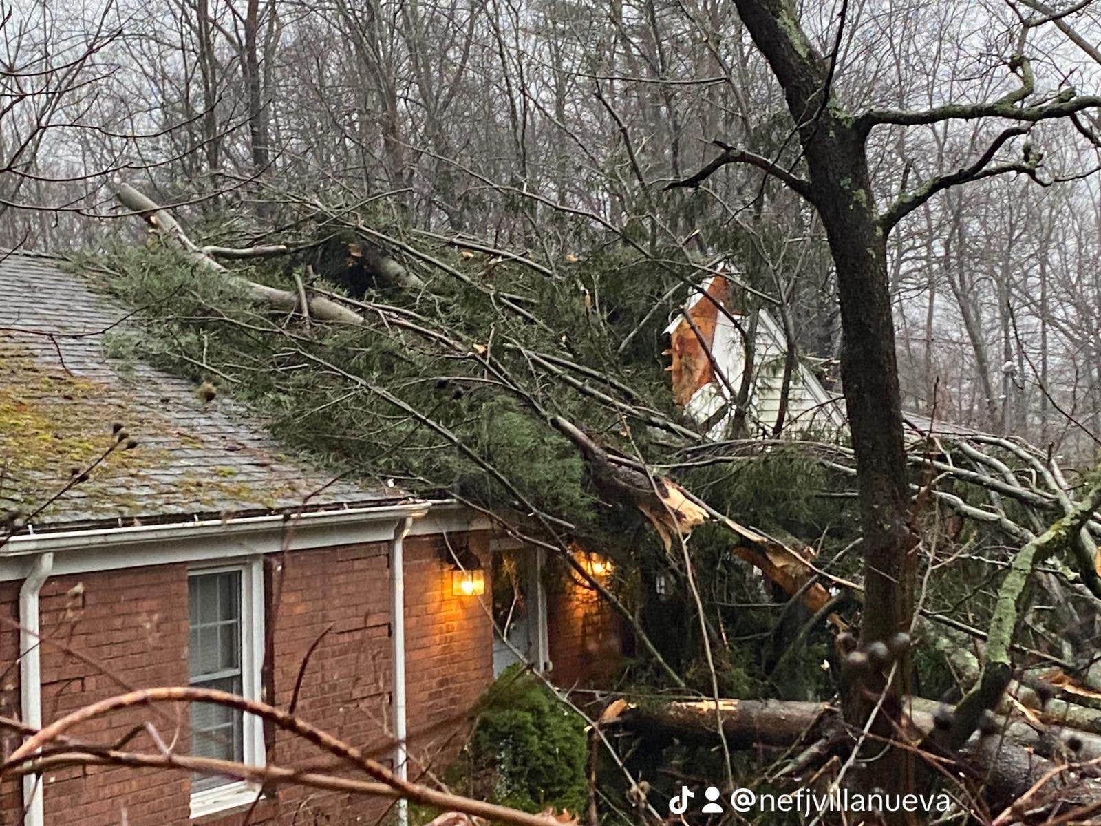 Owen's Tree Expert | Torrington | Read Reviews + Get a Bid | BuildZoom