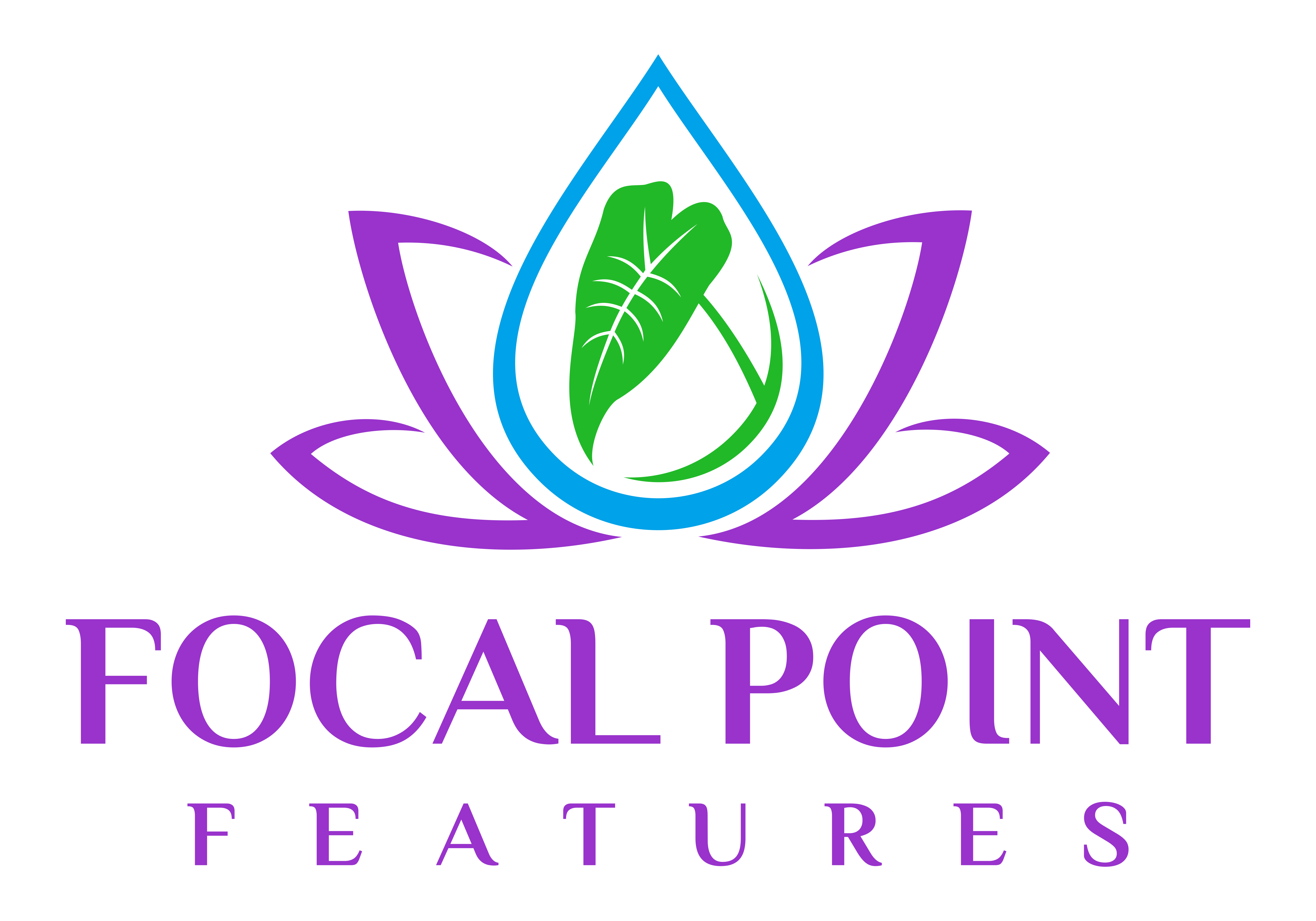 Focal Point Features | Austin TX | Read Reviews + Get a Bid | BuildZoom
